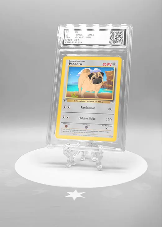 Pimp my Pet - Portrait chien / chat personnalisé - Modèles uniques