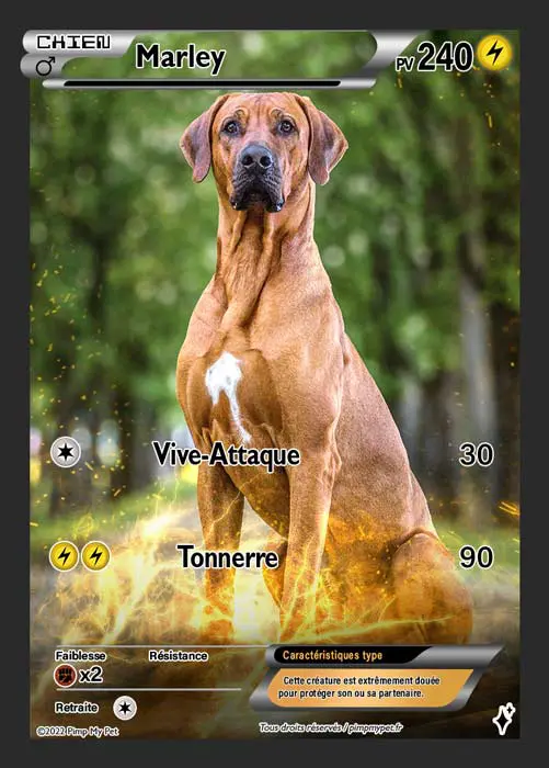 Carte Photo Poke animal personnalisée - Pimp my Pet